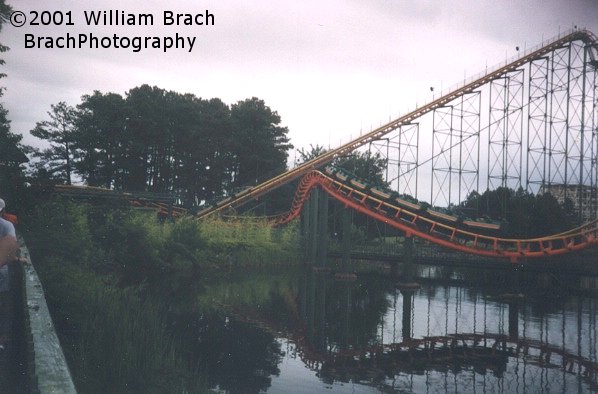 BrachPhotography - Kings Dominion - Anaconda