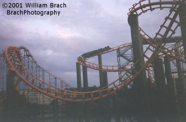 BrachPhotography - Kings Dominion - Anaconda
