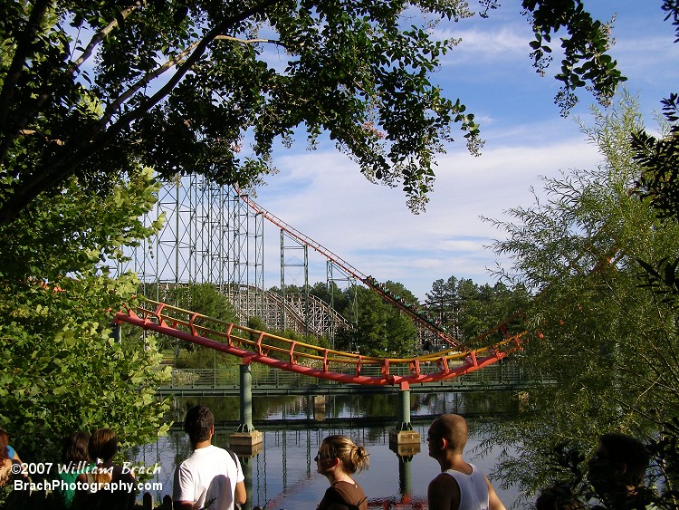 BrachPhotography - Kings Dominion - Anaconda