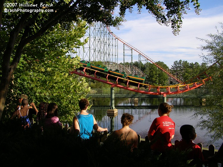 BrachPhotography - Kings Dominion - Anaconda