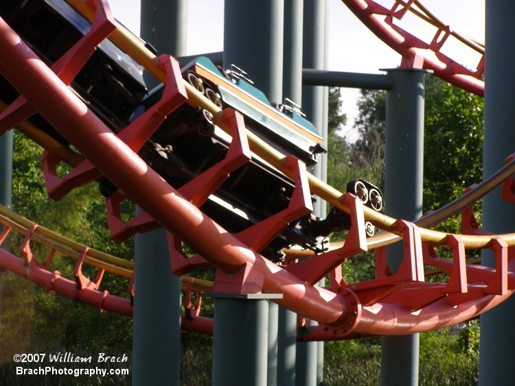 BrachPhotography - Kings Dominion - Anaconda