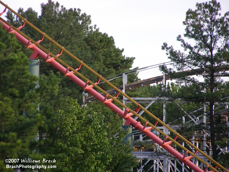 BrachPhotography - Kings Dominion - Anaconda