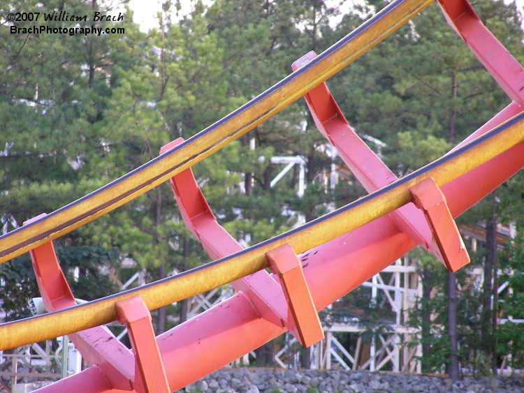 BrachPhotography - Kings Dominion - Anaconda