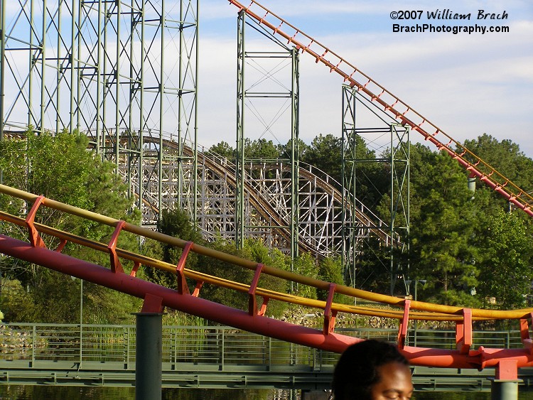 BrachPhotography - Kings Dominion - Anaconda