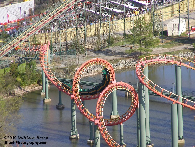 BrachPhotography - Kings Dominion - Anaconda
