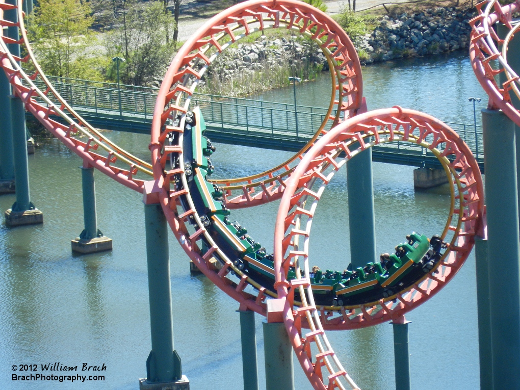 BrachPhotography - Kings Dominion - Anaconda