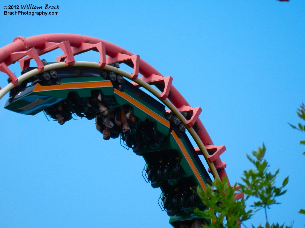 BrachPhotography - Kings Dominion - Anaconda