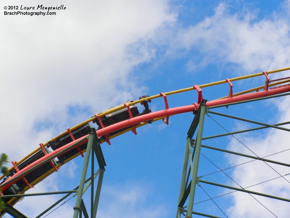 BrachPhotography - Kings Dominion - Anaconda